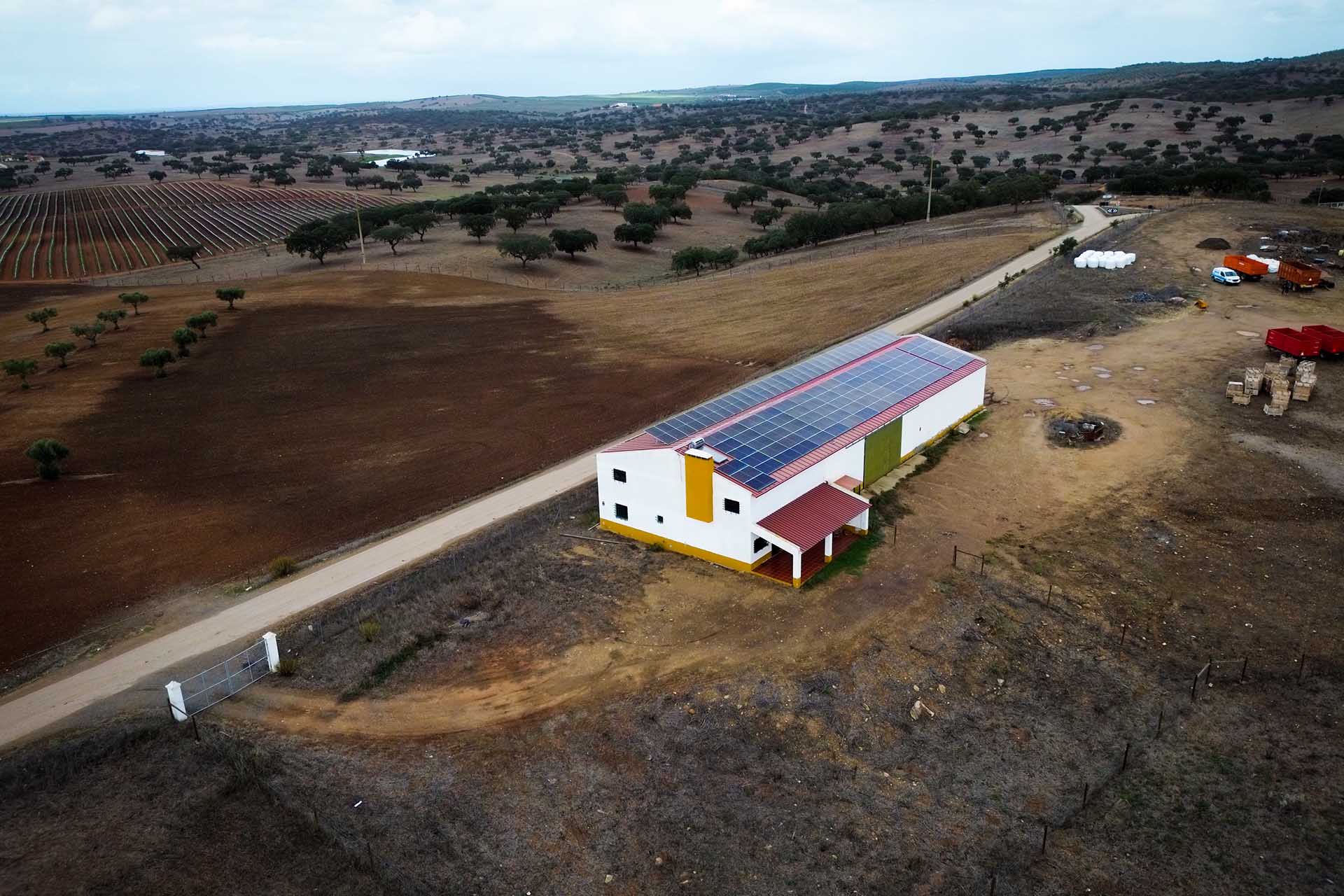 MONTE DO CARRASCALÃO | Projeto executado pela Luz Verde